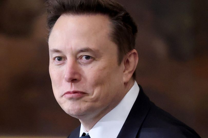 Donald Trump's 'Ice Maiden' chief of staff freezes Elon Musk out of ...