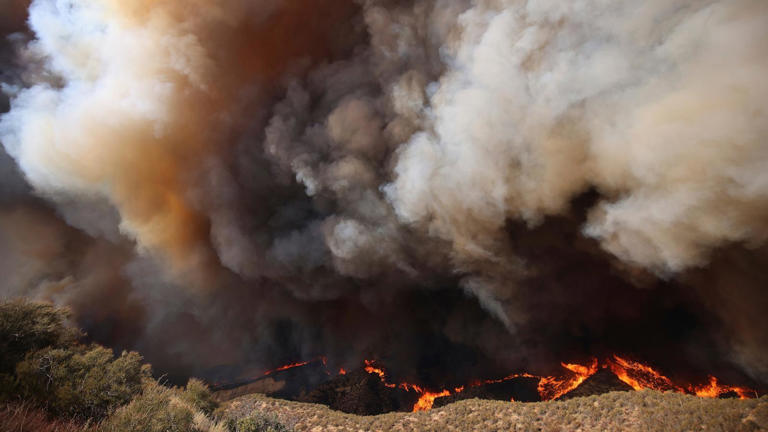 California fires updates: Death toll in Los Angeles fires rises to 29