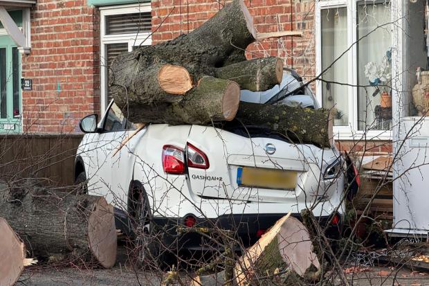 Dramatic pictures as tree crushes car on driveway and narrowly misses house