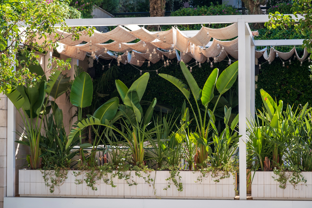 20 Outdoor String Light Installation Ideas