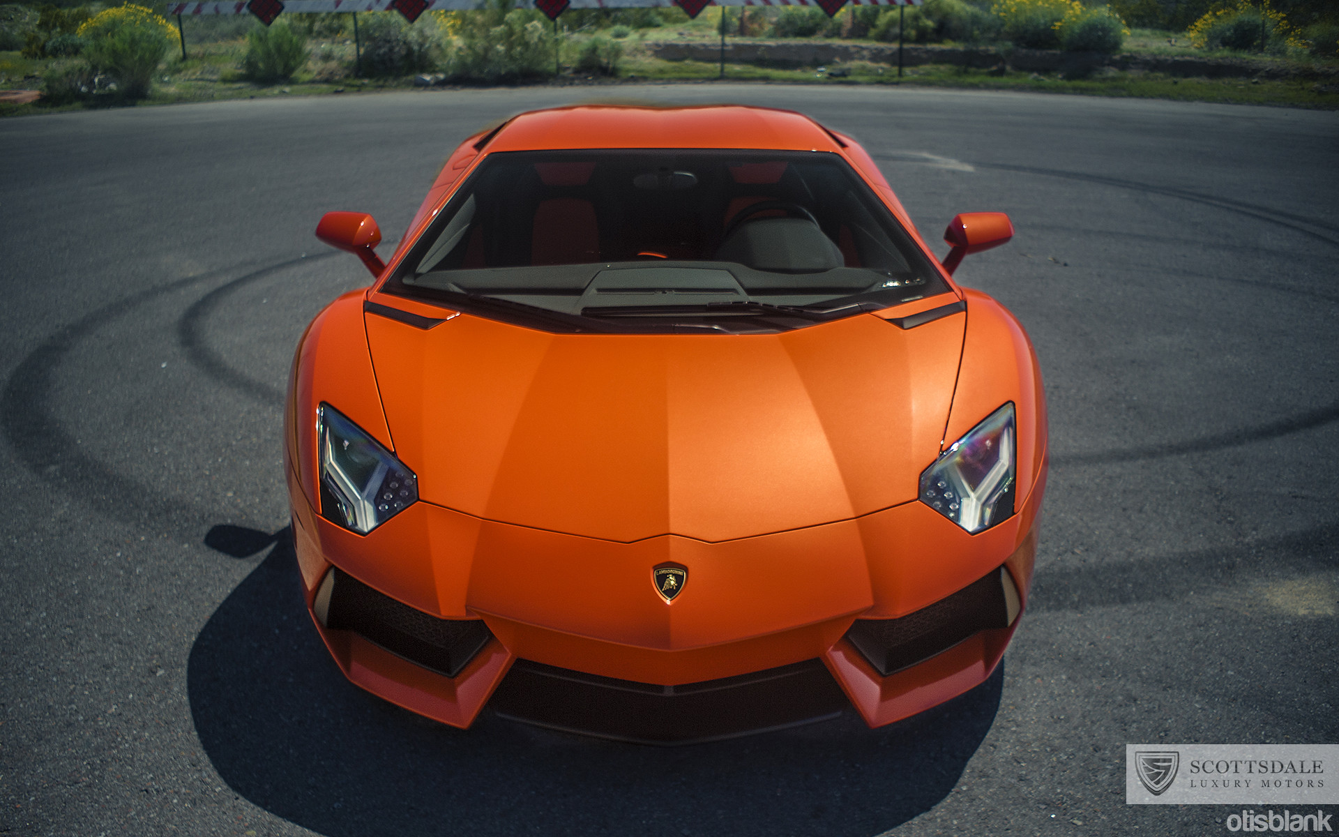 17 Sports Cars That Look Fast Even Standing Still