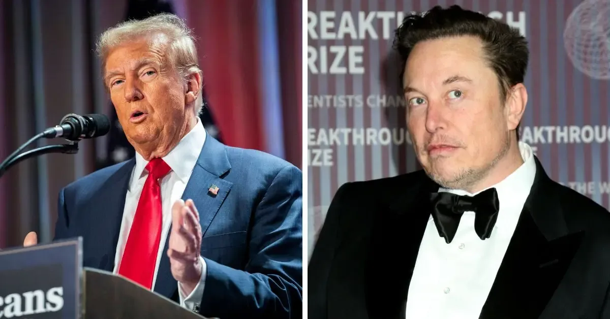 Top Dog(E): Inside Elon Musk's Doge Role in Donald Trump's Administration