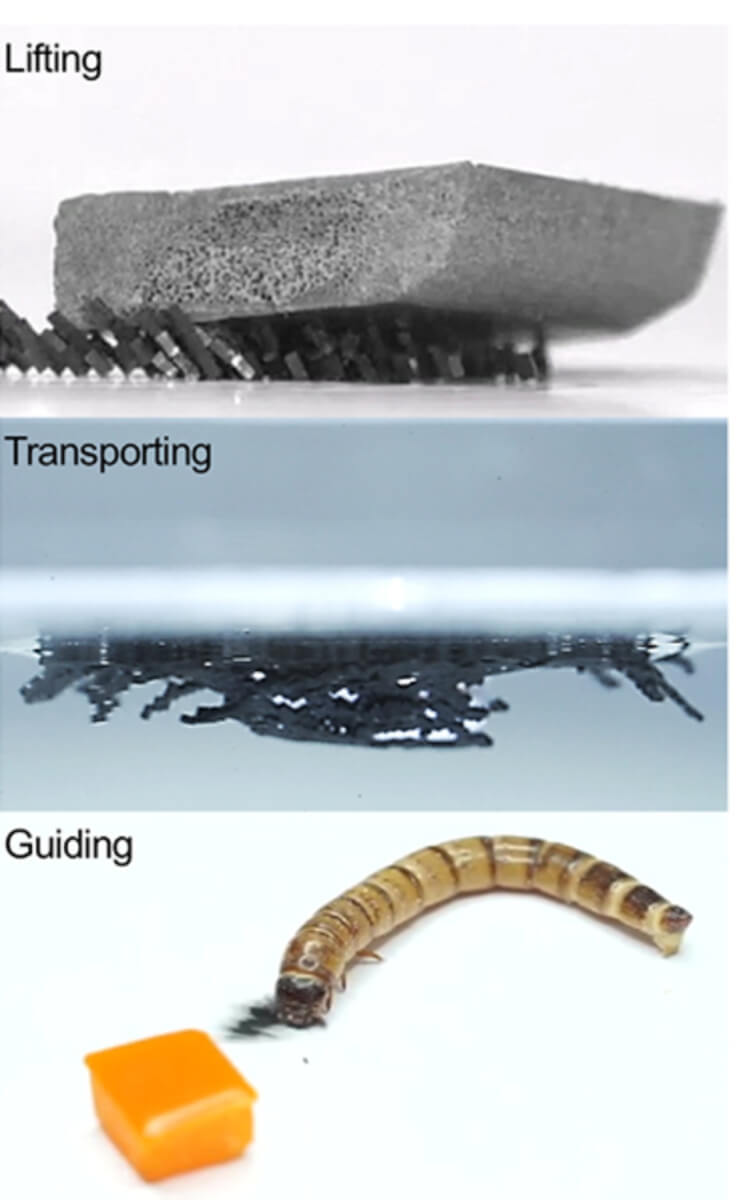 Swarms of ant-like robots work together to lift objects 2,000 times ...