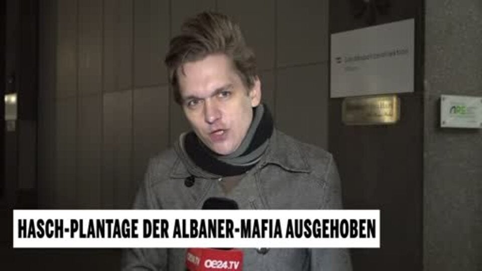 Hasch Plantage der Albaner-Mafia ausgehoben
