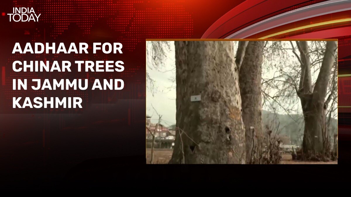 Jammu and Kashmir forest department gives unique identity numbers to ...