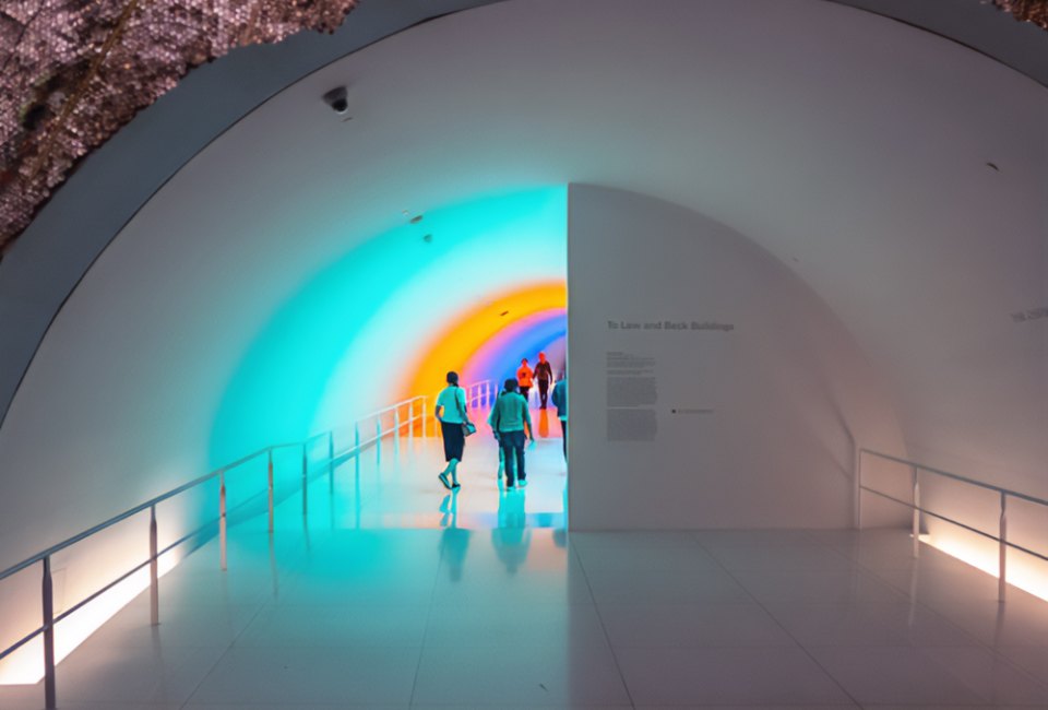 Museum of Fine Arts Houston with Kids: Things To Do At MFAH