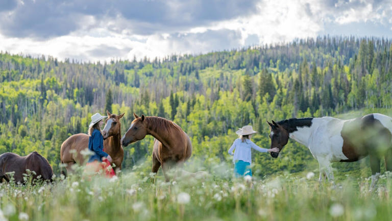 Everything's included at these stress-free all-inclusive family resorts ...