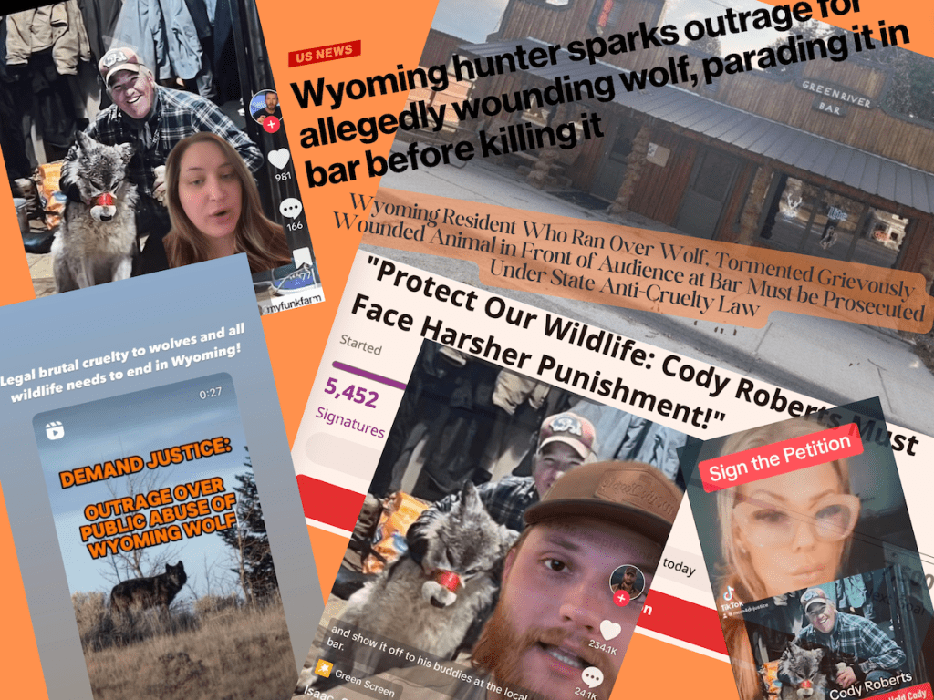 Bills targeting predator torture, snowmobile hunting could make ...