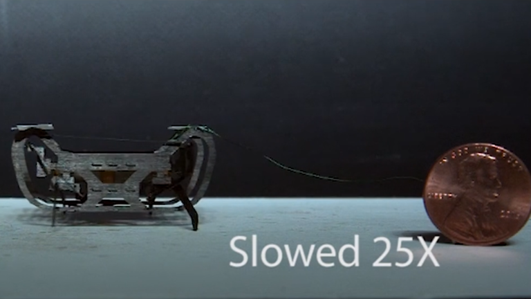 Get Ready for the Micro-robotic Revolution