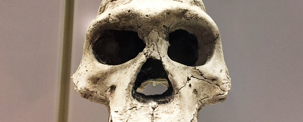 Humanity's Ancient Ancestor Found a Way to Survive in a Harsh World