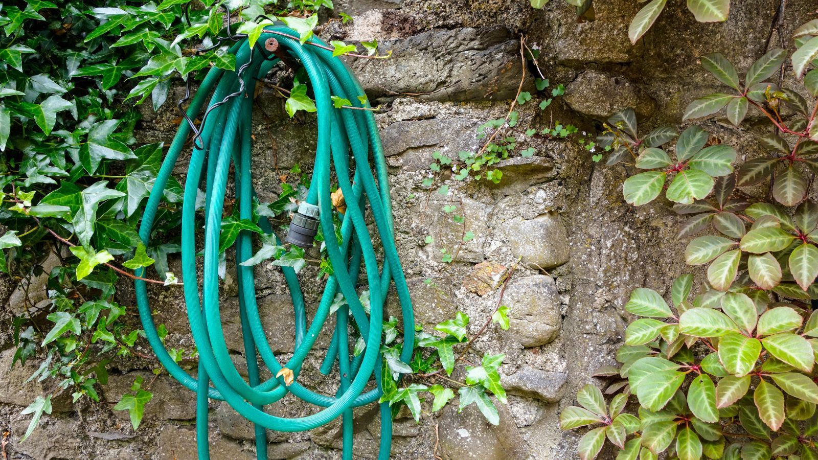 How to reuse an old yard hose – 4 ways to repurpose a hose that ...