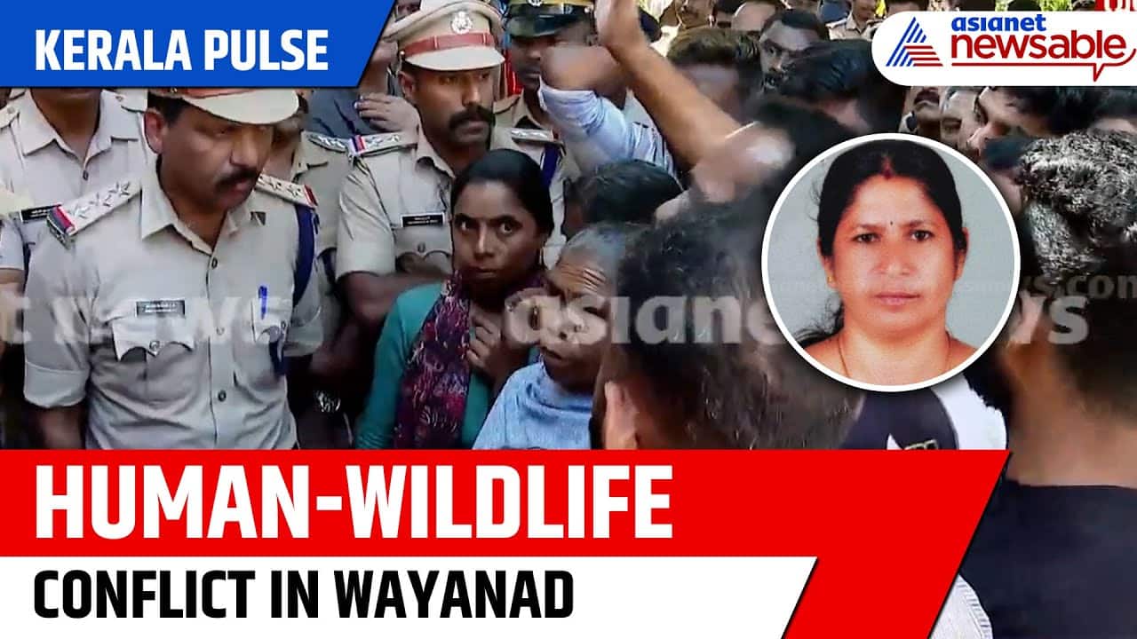Kerala Pulse | Human-Wildlife Conflict in Wayanad: Another Tiger Attack ...