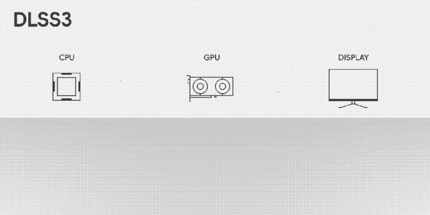 Every Fox Pokemon, Ranked