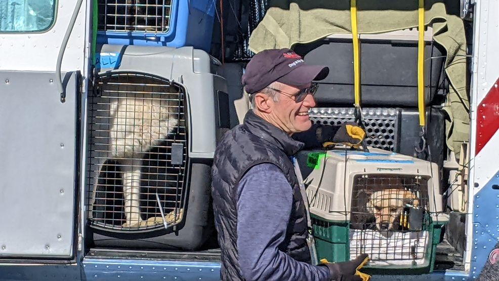 Boise welcomes dogs from overcrowded Los Angeles shelters