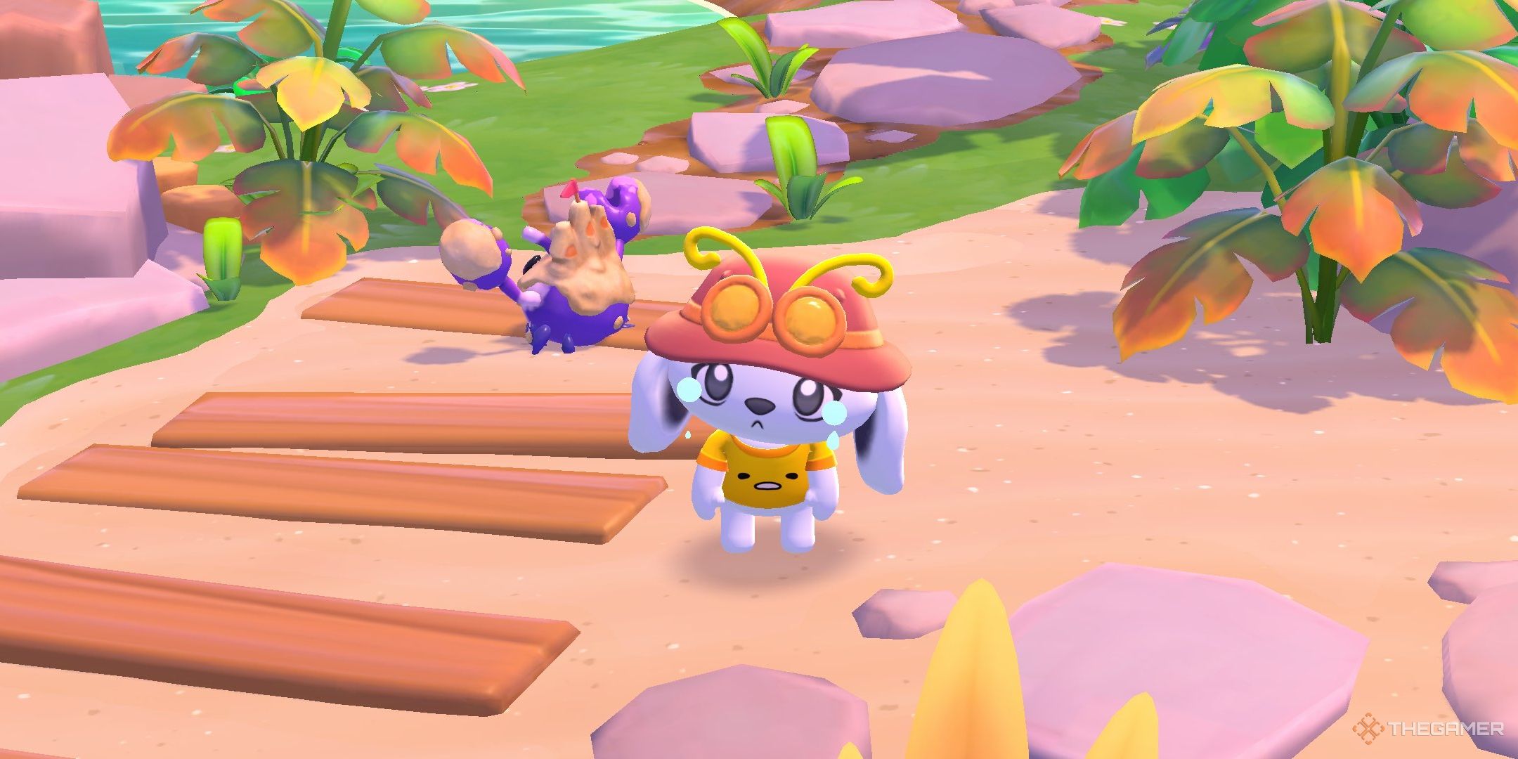 How And Where To Catch All Critters In Hello Kitty Island Adventure