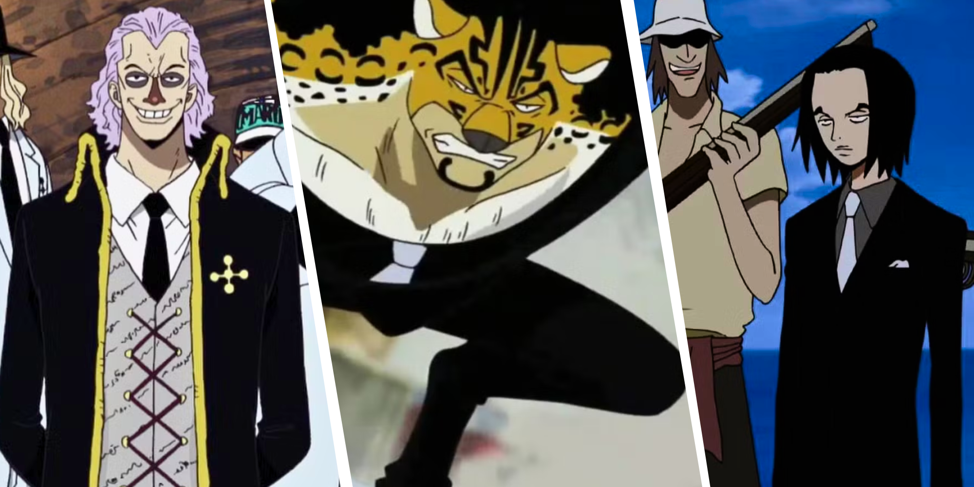 What Does Cipher Pol in One Piece Mean?