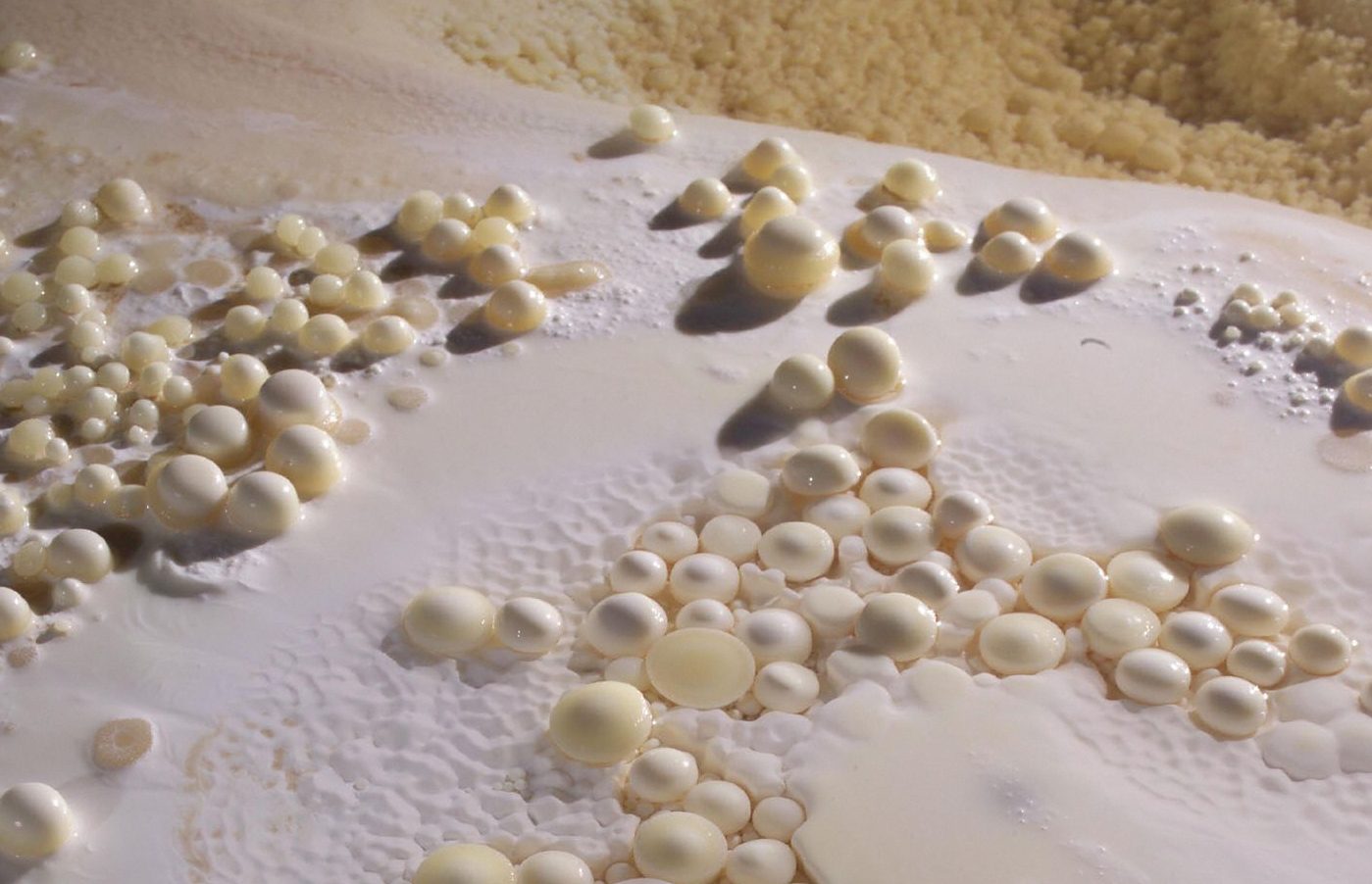 Mystery surrounds 'very rare' ancient cave pearls after incredible ...