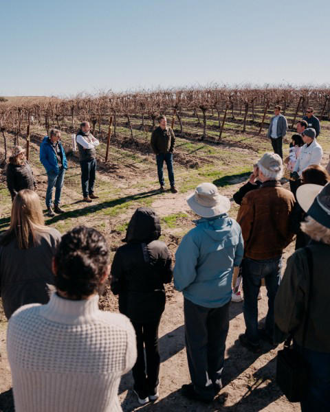 Slow Wine USA Guide 2025 is an Essential Read for Any Wine Enthusiast