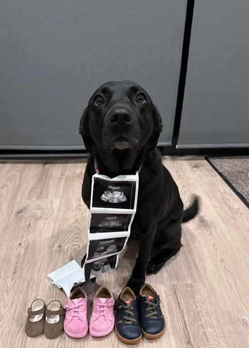 Baby joy for Carl Mullan and wife Aisling as they welcome their third child