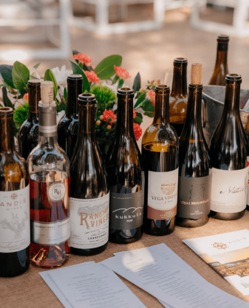 Slow Wine USA Guide 2025 is an Essential Read for Any Wine Enthusiast