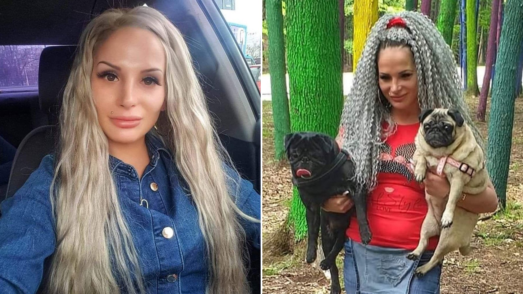 Dog owner’s body was eaten by her pet pugs after lying undiscovered for ...