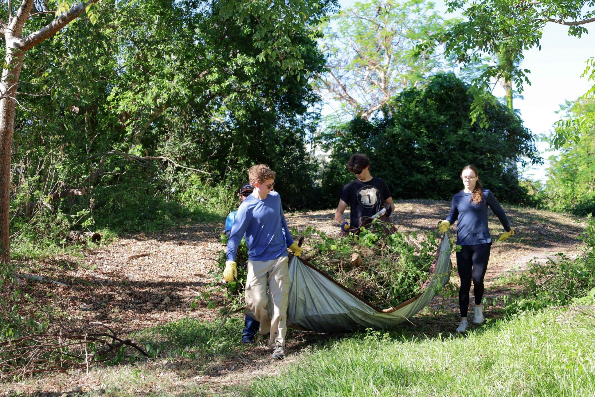 Resilience in action: Ancient Calusa site gets help from diverse groups ...