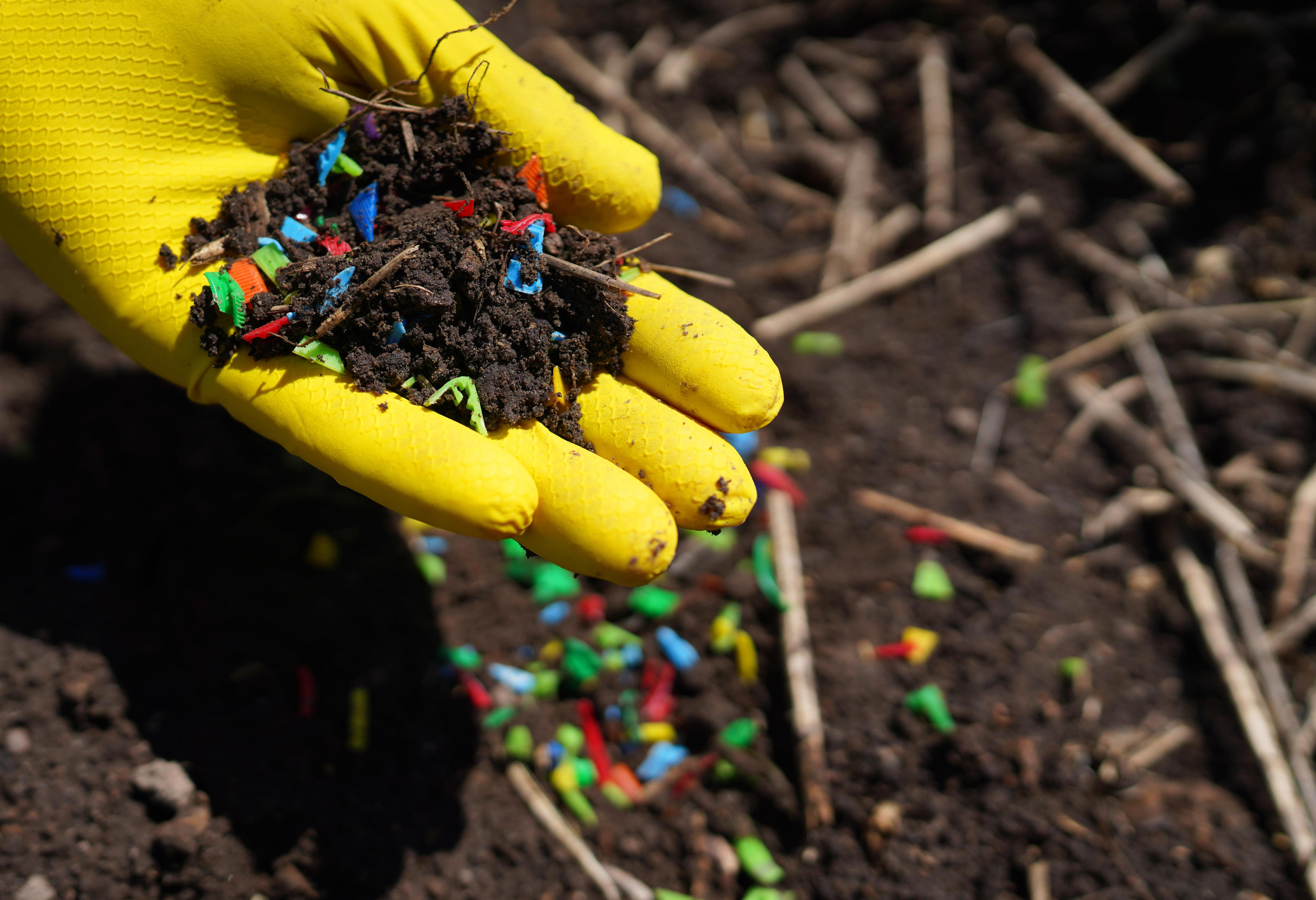 Mikroplast i din te? Sådan undgår du plastikforurening i din kop