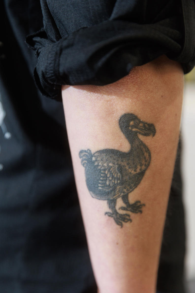 The dodo bird is extinct. This scientist says she can bring it back.