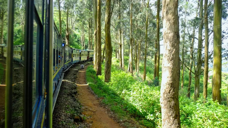 A look into the interesting history of Mountain Railways of India, a ...