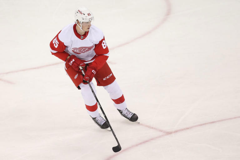 Detroit Red Wings Sign Elmer Soderblom to 2-Year Deal