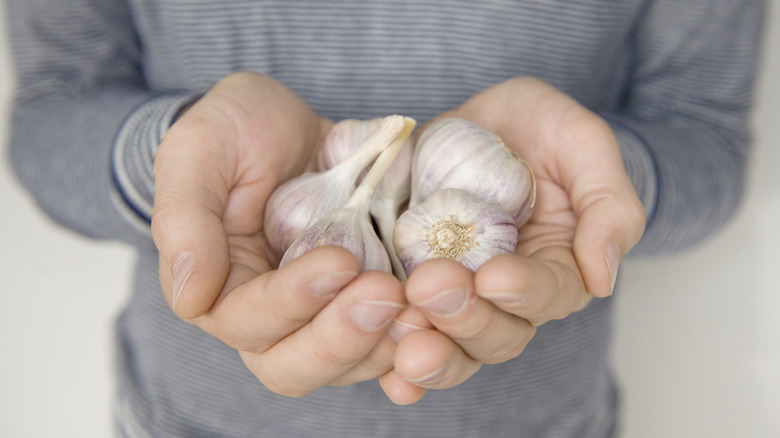 Here's Why Your Garlic Is Green In The Middle