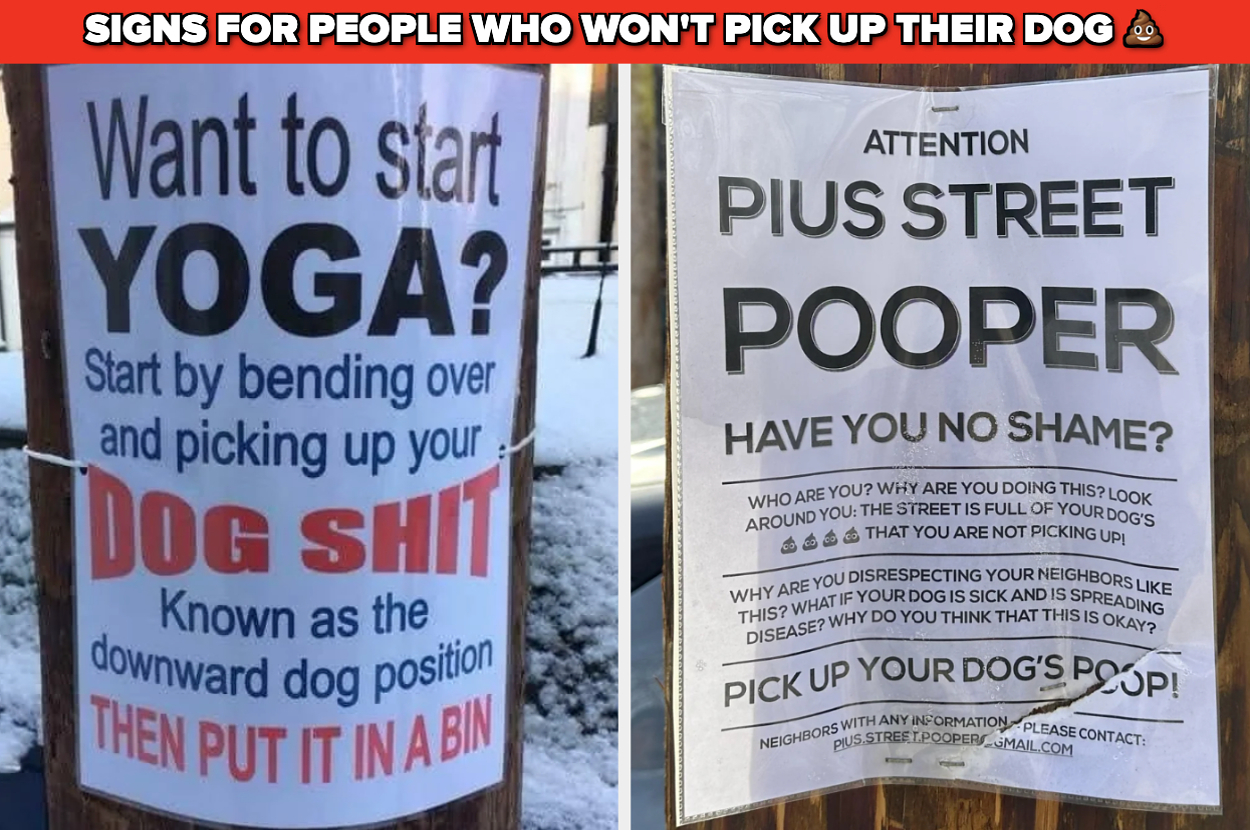 You Won't Realize How Much You Needed The Comical Relief These Signs ...