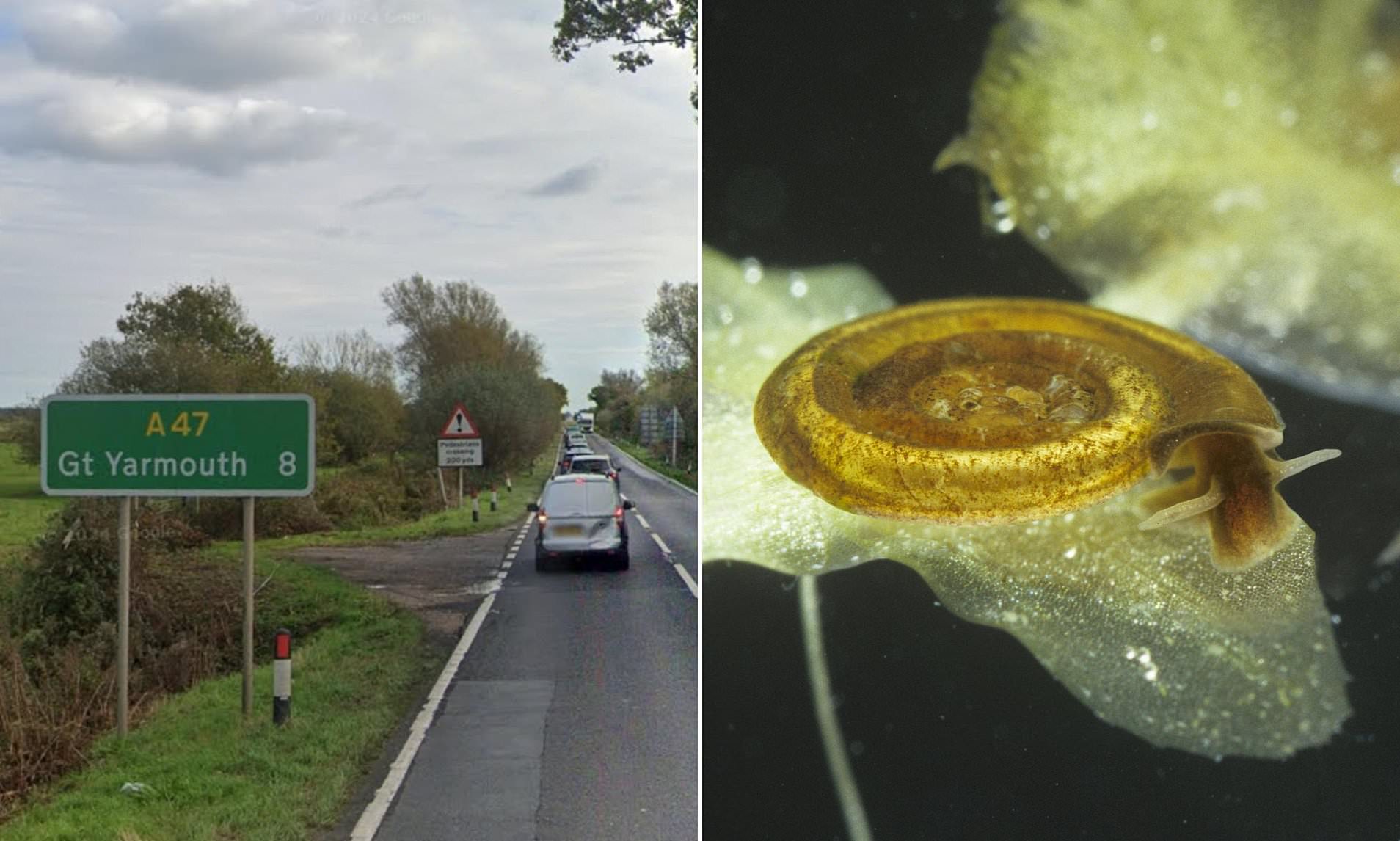Works to make accident blackspot safer held up for 10 years by SNAILS
