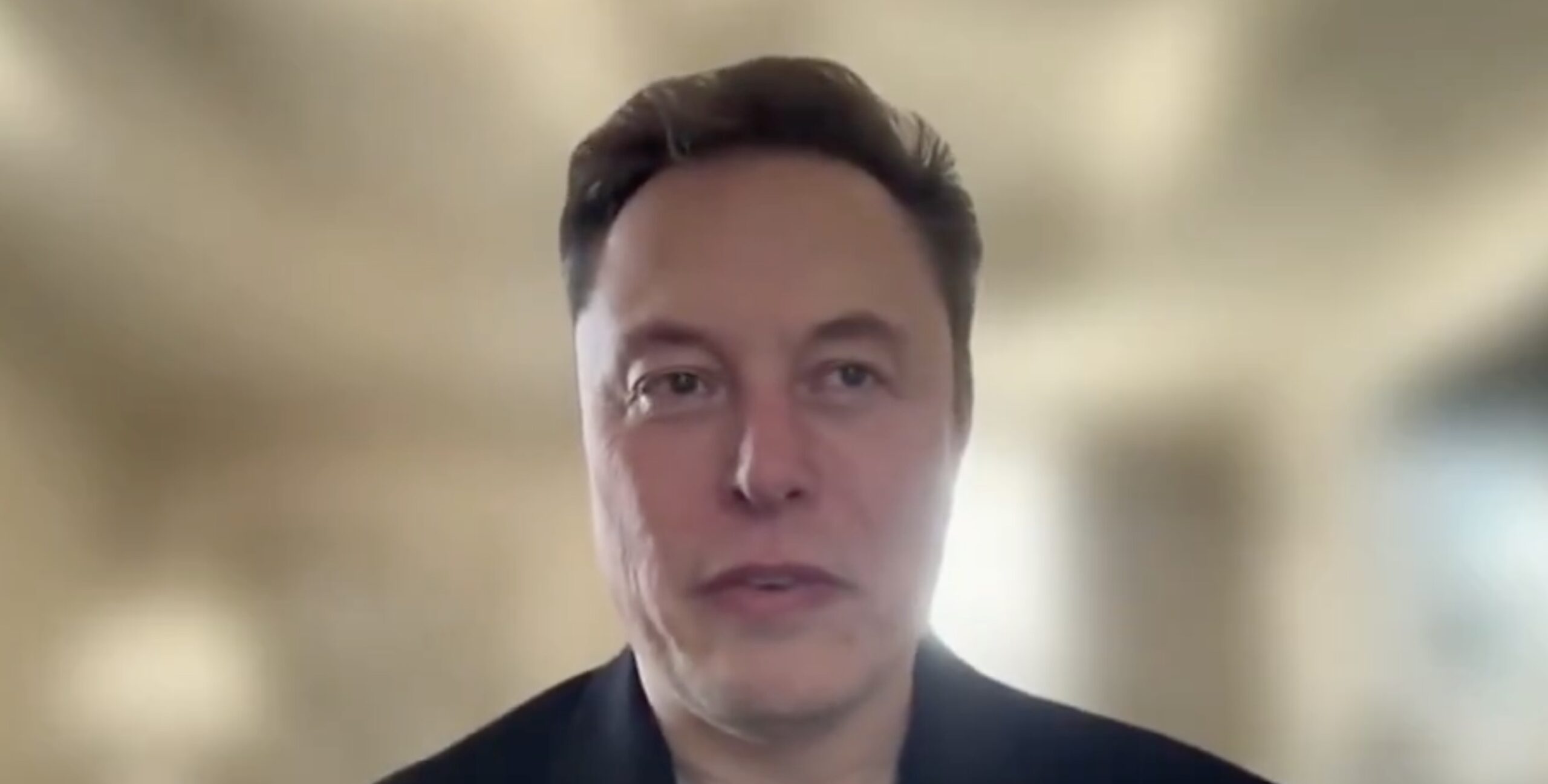 Elon Musk Tells Far-Right German Party Rallygoers There’s Too Much ...
