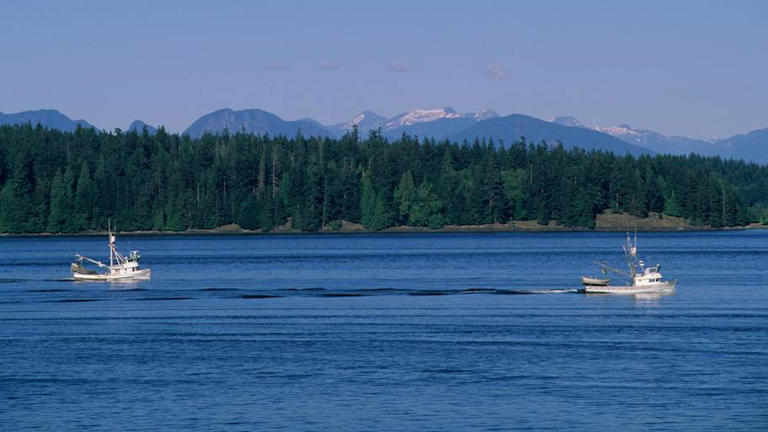 Five unexpected and unique snorkeling spots around the world