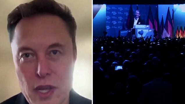 Elon Musk shows support for Germany's radical right-wing AfD party