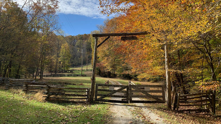 13 Unique Ideas To Create A Fence Gate That Makes A Big Statement About ...