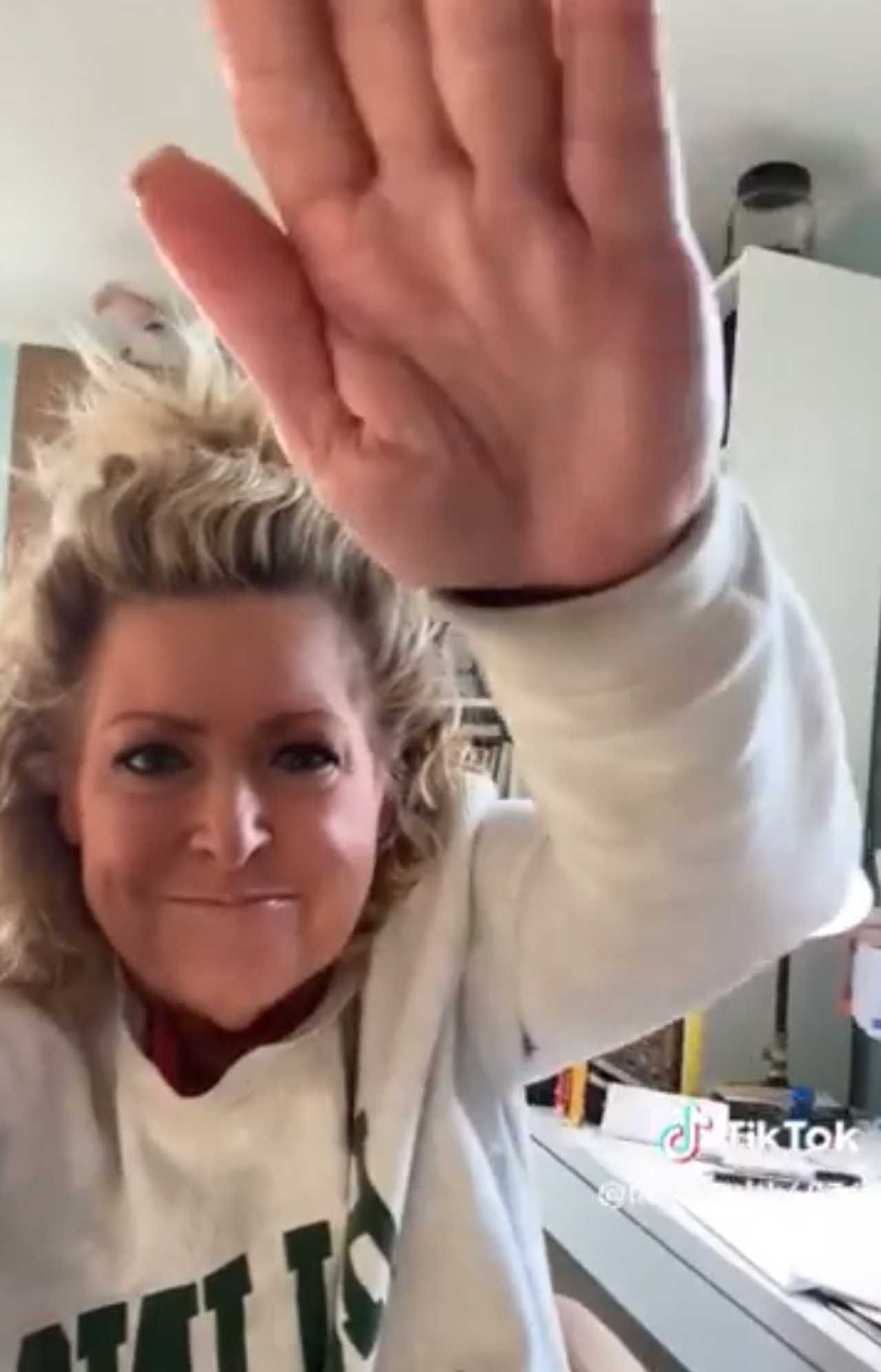 'Nazi' TikTok By Towamencin Supervisor Laura Smith