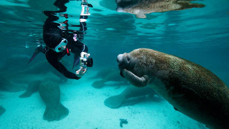 Five unexpected and unique snorkeling spots around the world