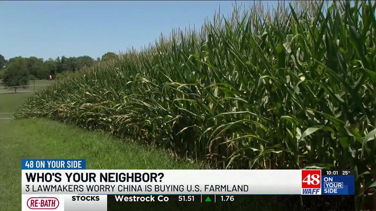 Alabama lawmakers looking to stop Chinese from buying U.S. farmland