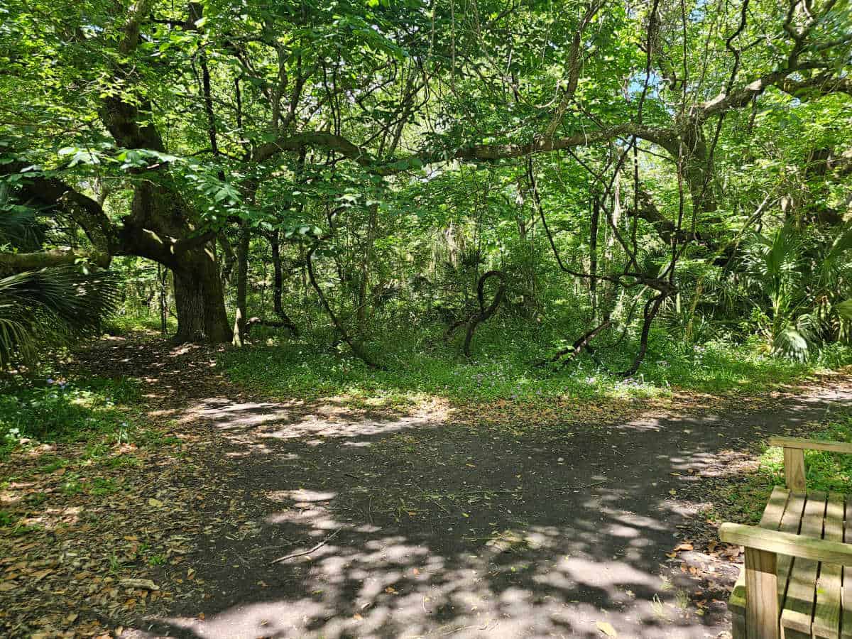 Indian Shell Mound Park - Dauphin Island