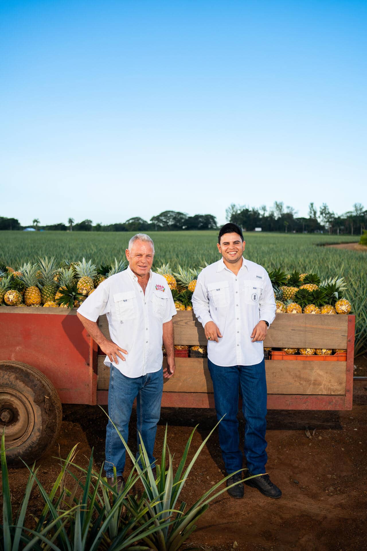 Der Ananaskönig von Monte Plata