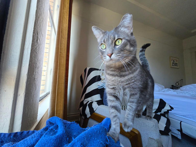 My First 48 Hours With the Galaxy S25 Ultra Have Been Reality Bending