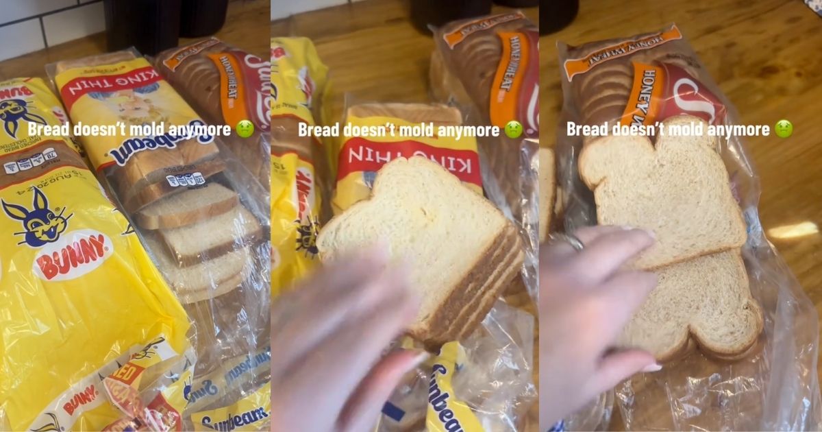 Mom Demos Expired Factory-Made Bread And Finds That ‘Bread Doesn’t Mold ...