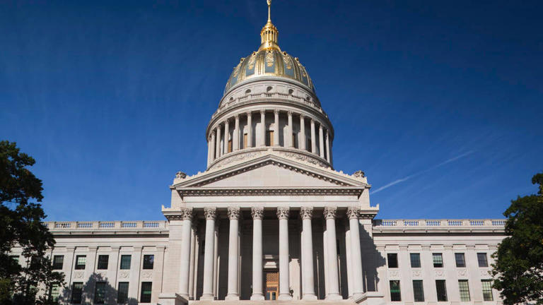 Head of West Virginia gun lobby appointed to replace lawmaker-elect ...