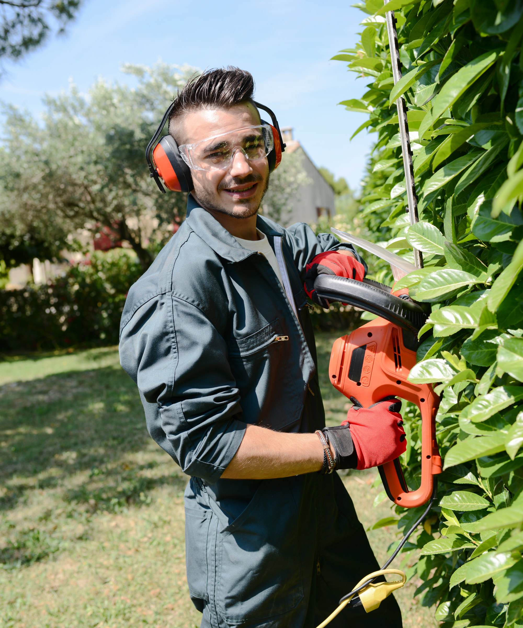 7 ways to avoid bad hedge cutting – gardening professionals reveal the ...