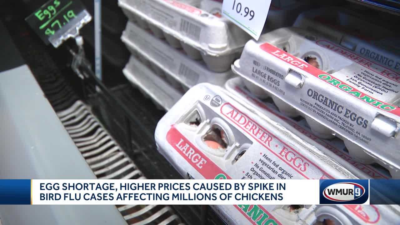 Egg shortage, higher prices caused by spike in bird flu cases
