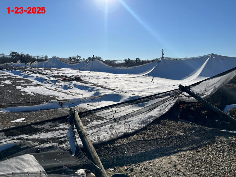 'Worse than a Category 5 hurricane': Outdoor nurseries devastated by ...