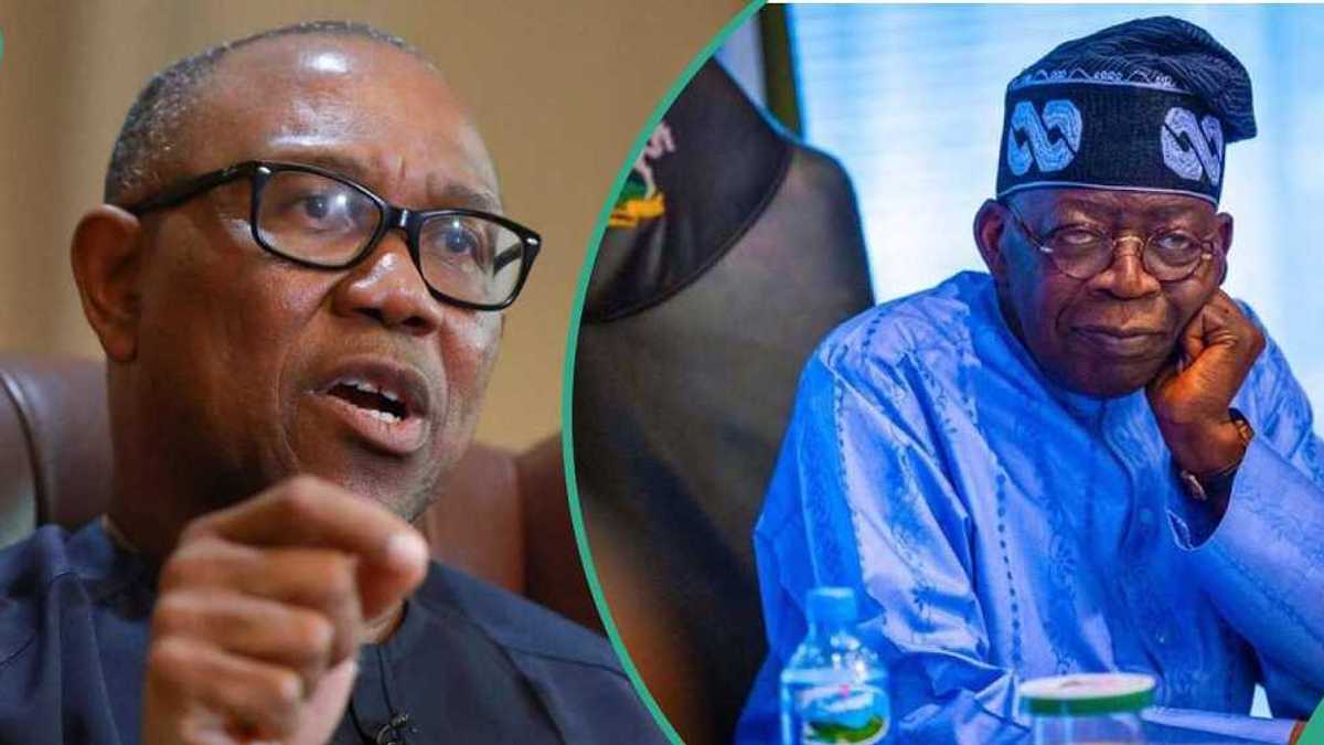 We have more ‘Yahoo Boys’ in government than on the streets – Peter Obi