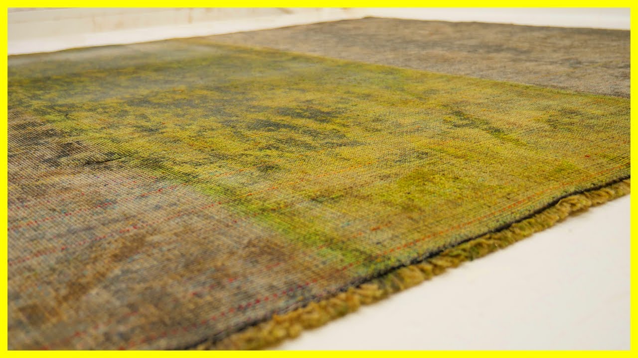 Rug Covered in Algae | Pure ASMR Sounds
